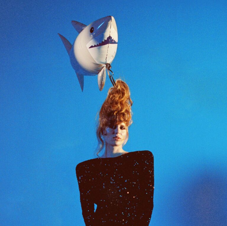 Programma 2024 – Maaiveld Festival